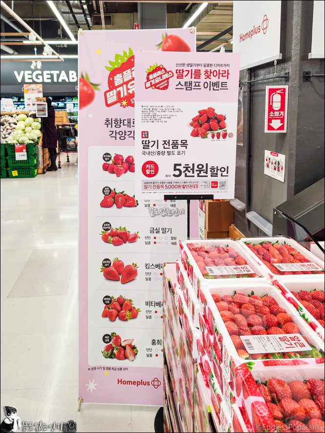 홈플러스 연말 홈플대란 세일 한우 삼겹살 반값 할인 득템 네이버 블로그