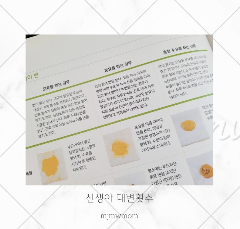 신생아 대변횟수 아기 변비 설사 묽은변 기준 응가 체크 네이버 블로그