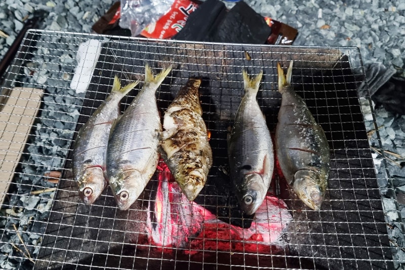 전남 장흥 숙소 4곳 정리 무무라 펜션 다라하우스 안단테 리조트 크라운 호텔 네이버 블로그