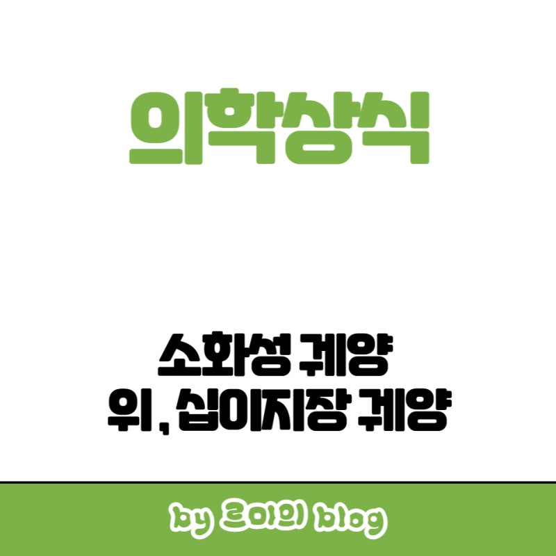소화성 궤양 위궤양 십이지장궤양이란 무엇인가 원인 및 증상 비교 네이버 블로그