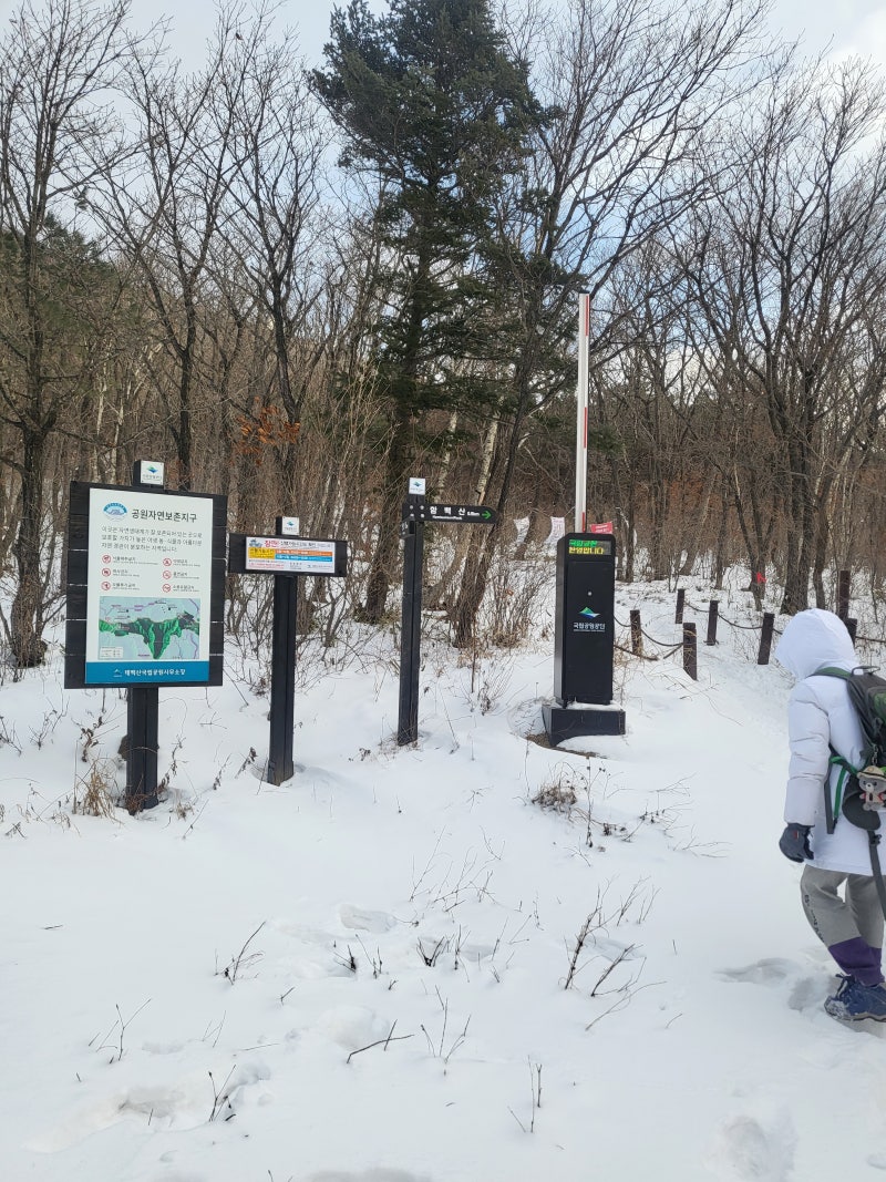 함백산 최단코스 산행 겨울 눈꽃 산행 태백선수촌 만항재 아이들과 함께 네이버 블로그