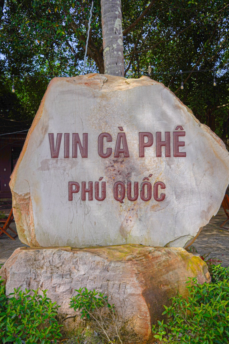 푸꾸옥 쌀국수 맛집 VIN CA PHE PHU QUOC : 네이버 블로그