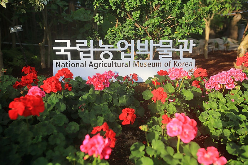 경기도 수원 가볼만한곳 실내 볼거리 놀거리 국립농업박물관 수원 데이트 코스 서울근교 나들이 네이버 블로그