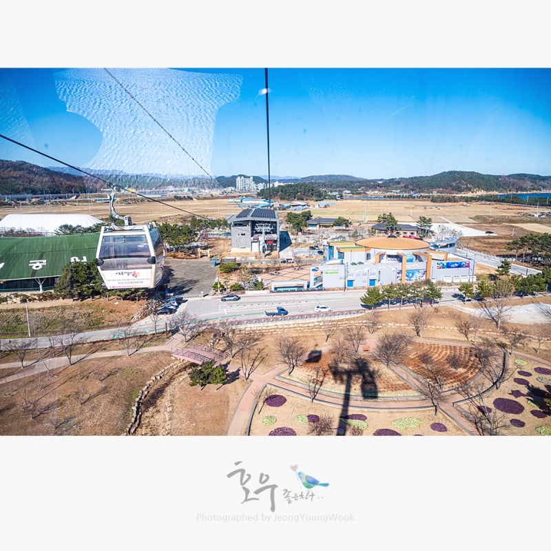 울진 왕피천 케이블카 망양정 해맞이공원 왕피천공원 엑스포공원 아쿠아리움 네이버 블로그