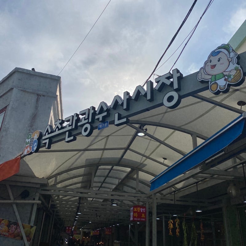 속초 당일치기 속초 여행 속초수산시장 설악횟집 카페 코엘 속초아이 속초해수욕장 카페 브라더후드 경비