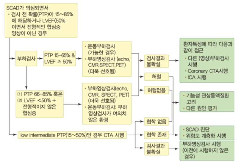 허혈성 심질환: 안정형 (SIHD) - 진단(검사), 치료, 약물, SCAD, OMT, 이형성협심증, aspirin ...