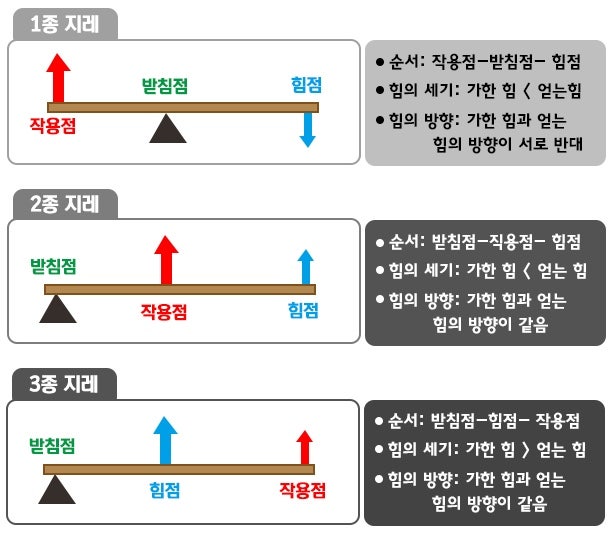 헬스 전공서 뉴만 키네시올로지 대신 공부해 드립니다 2 P20~31 등척성 운동 동심성 수축 네이버 블로그
