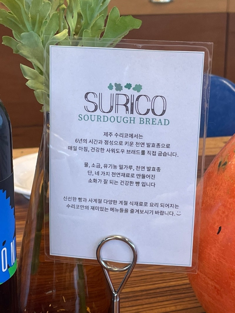 [제주 수리코(SURICO)] 한경면 판포포구 부근 조수리 1082-1_제주 핫플 포토존으로 유명한 수리코(나언&태이 데이트 ...
