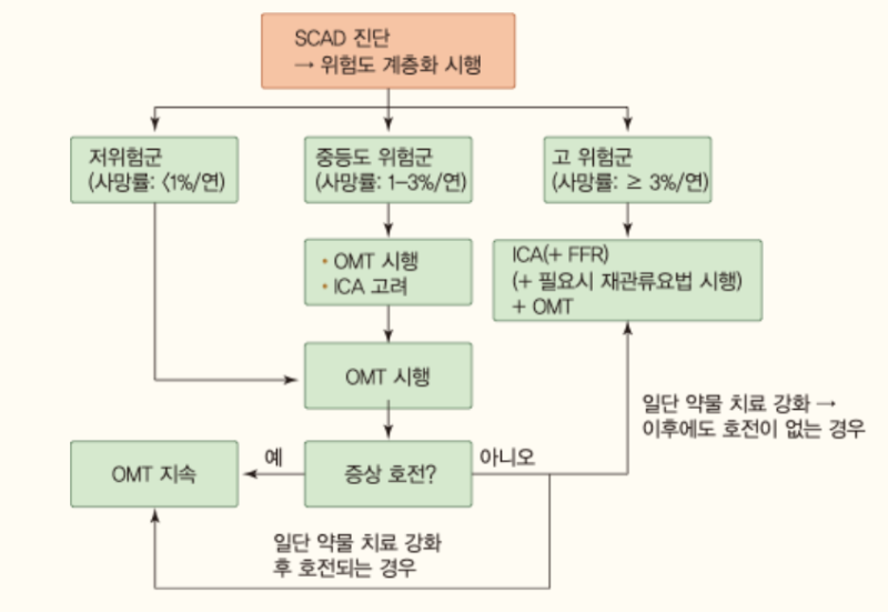 허혈성 심질환: 안정형 (SIHD) - 진단(검사), 치료, 약물, SCAD, OMT, 이형성협심증, aspirin ...