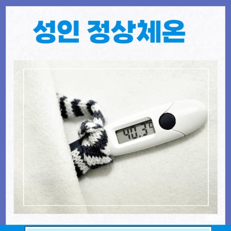 유아 아기 성인 정상체온 범위 사람 평균 기초 체온 정상범위 네이버 블로그