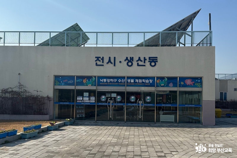 수산자원연구소 낙동강하구 수산생물 체험학습장 네이버 블로그