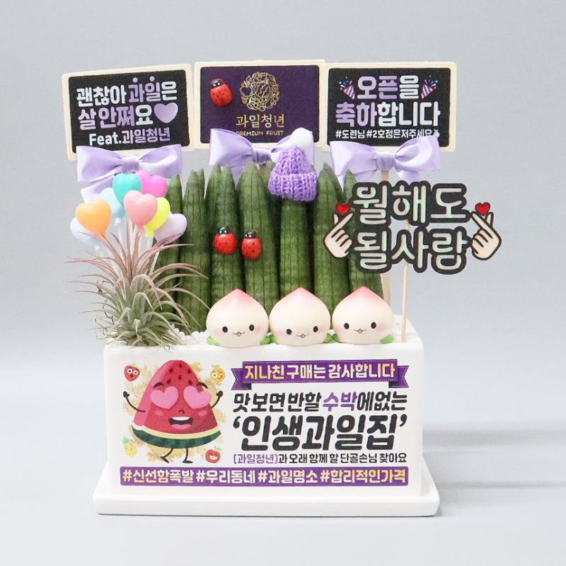 디저트카페 과일가게 빵집 개업축하선물 미니 스투키 디자인 메세지화분 네이버 블로그