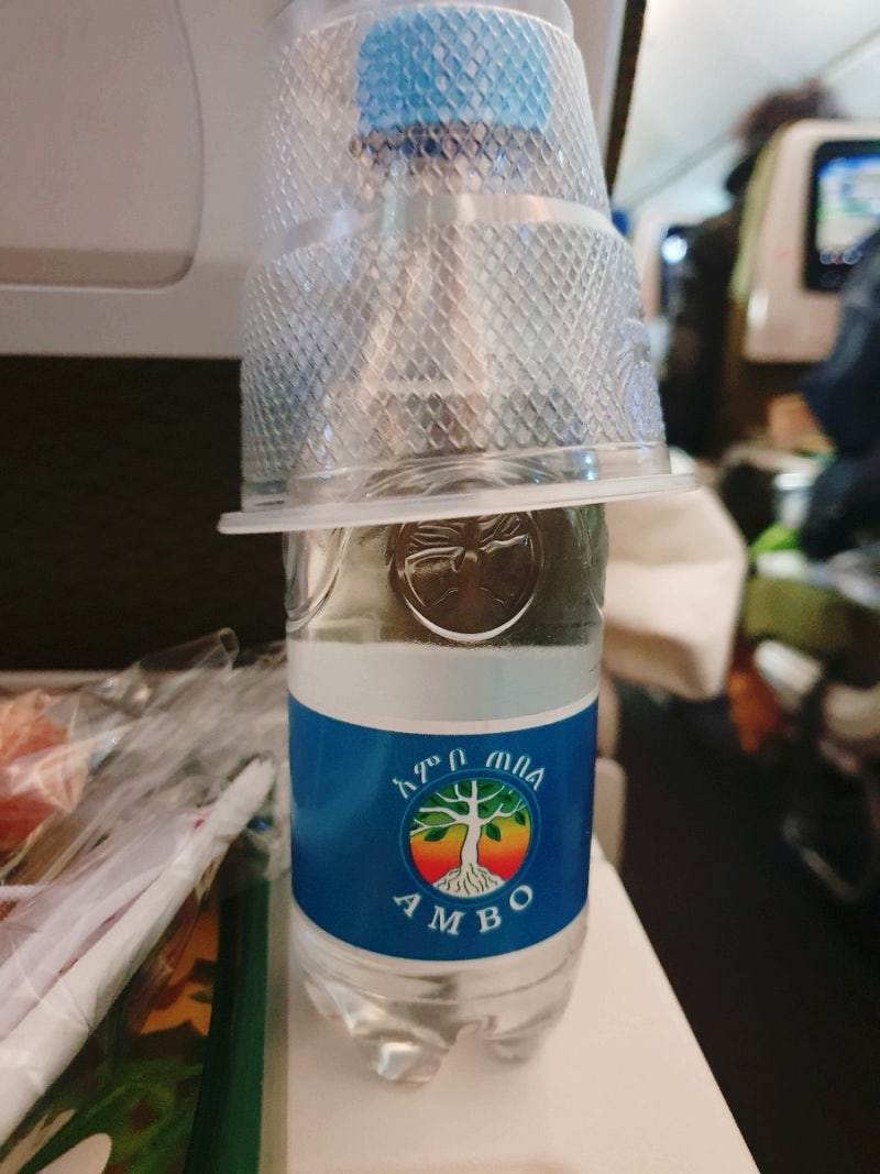 22 탄자니아 신혼여행기 1 에티오피아항공 후기 인천공항 아디스아바바 공항 킬리만자로 공항 탐험기 네이버 블로그