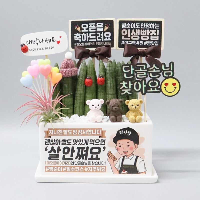 디저트카페 과일가게 빵집 개업축하선물 미니 스투키 디자인 메세지화분 네이버 블로그