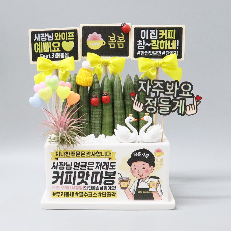 디저트카페 과일가게 빵집 개업축하선물 미니 스투키 디자인 메세지화분 네이버 블로그