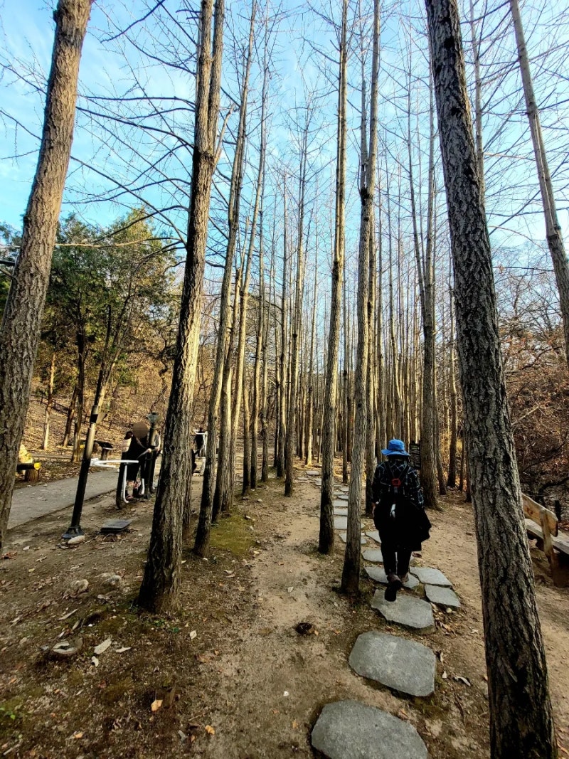 북한산둘레길 9구간 마실길방패교육대앞 ~ 진관생태터널 트레킹15km 30분 소요 네이버 블로그