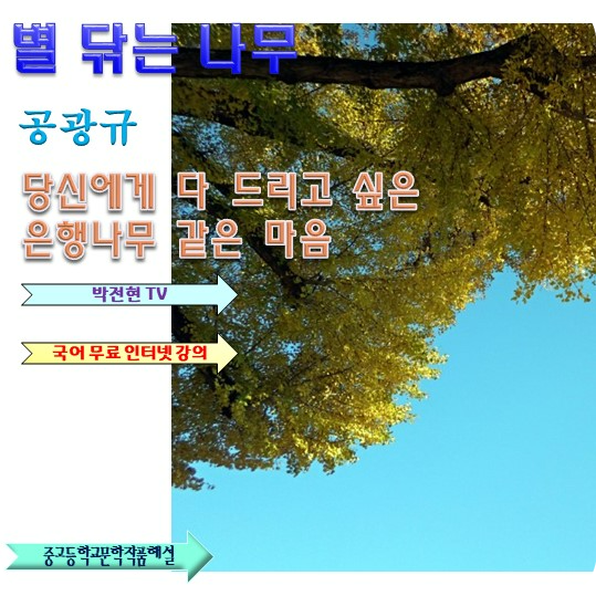 별 닦는 나무 해석 공광규 시 해설 : 네이버 블로그