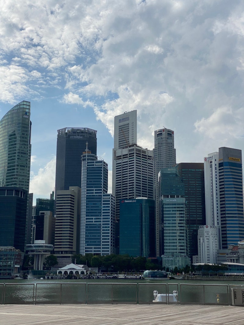 [싱가포르] 마리나 베이 샌즈 몰 구경 찰스앤키스 카지노 애플스토어 바샤커피 TWG 쇼핑 : 네이버 블로그