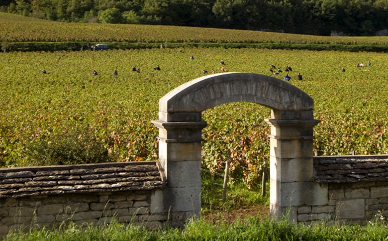 Domaine Prieuré Roch, Nuits-Saint-Georges 1er Cru Clos des Corvées ...