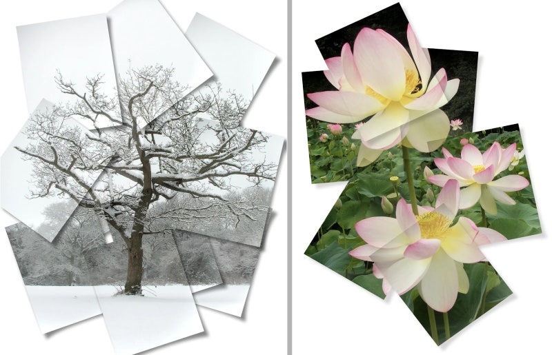 구글 플레이 스토어에서 기간한정 무료 배포 중인 안드로이드용 사진어플(Panographic Photo) : 네이버 블로그