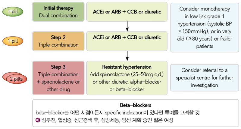 [실전진료] 고혈압(Hypertension) - 치료, 1차 치료제(약제, 약물), 베타차단제, ACEi, ARB, CCB ...