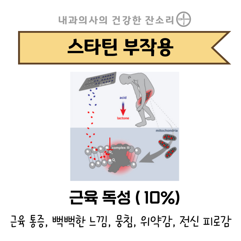 고지혈증약 내가 먹는 스타틴 종류 효과 강도 용법 용량 부작용은 무엇 네이버 블로그