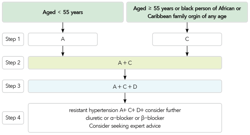 [실전진료] 고혈압(Hypertension) - 치료, 1차 치료제(약제, 약물), 베타차단제, ACEi, ARB, CCB ...
