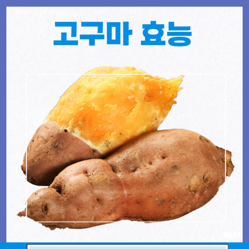고구마 효능 생고구마 효능 칼로리 부작용 네이버 블로그