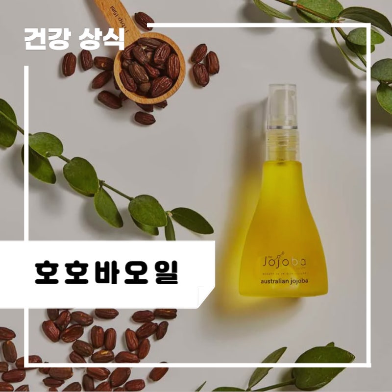호호바오일 효능 10가지 및 사용법 부작용 네이버 블로그