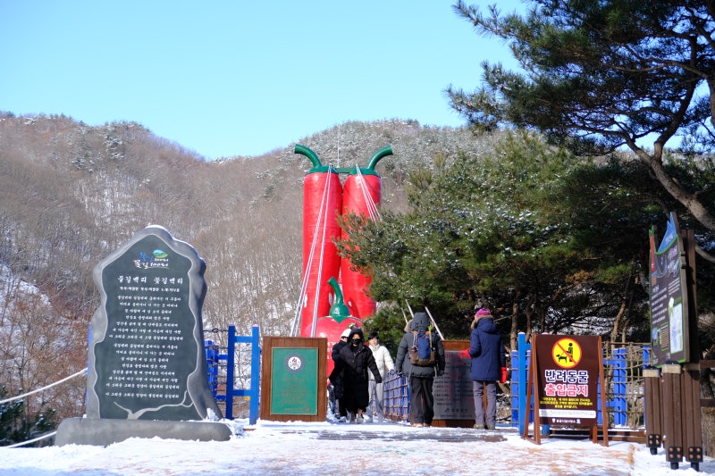 충남 아이와 가볼만한곳 청양 칠갑산 천장호 출렁다리 네이버 블로그