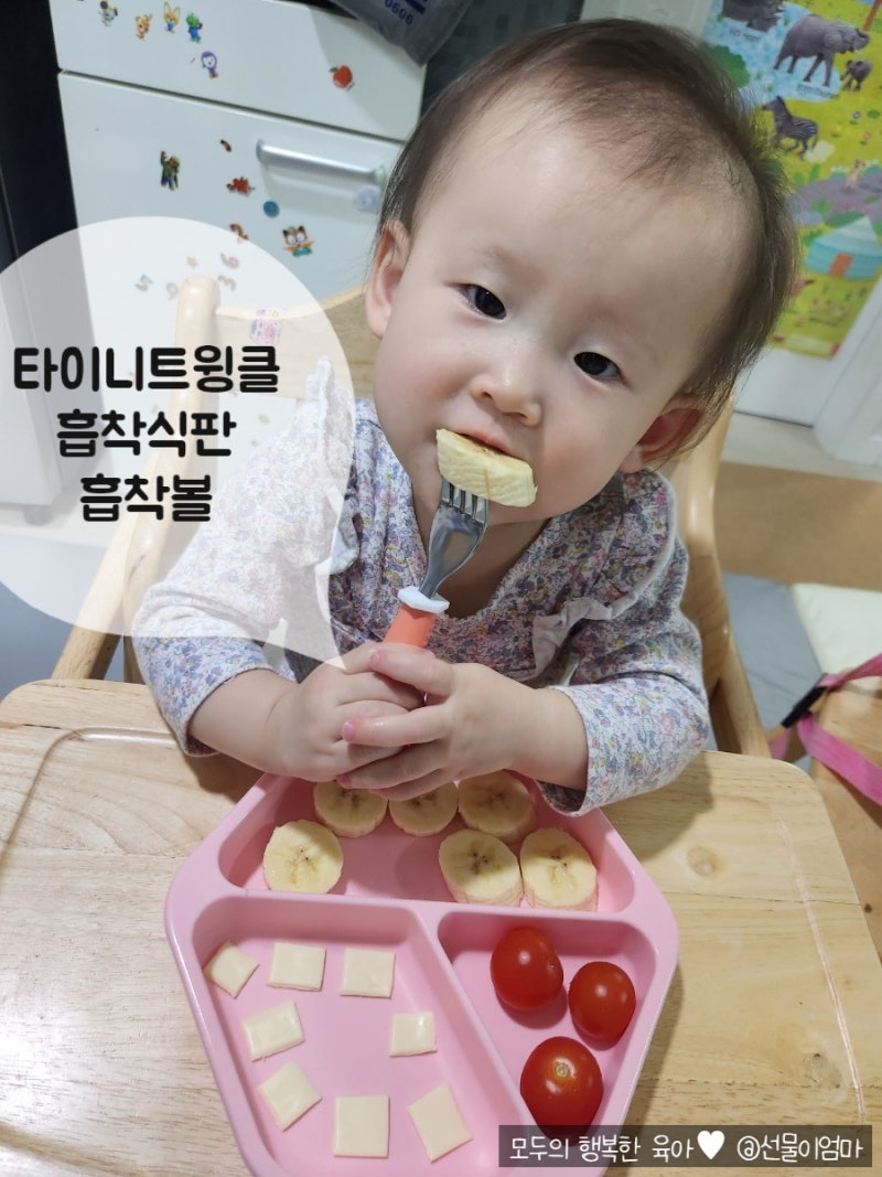 돌아기 흡착식판은 타이니 트윙클로 준비 Ft 자기주도 이유식 준비물 아기 스텐 수저 And 흡착볼 추천 네이버 블로그