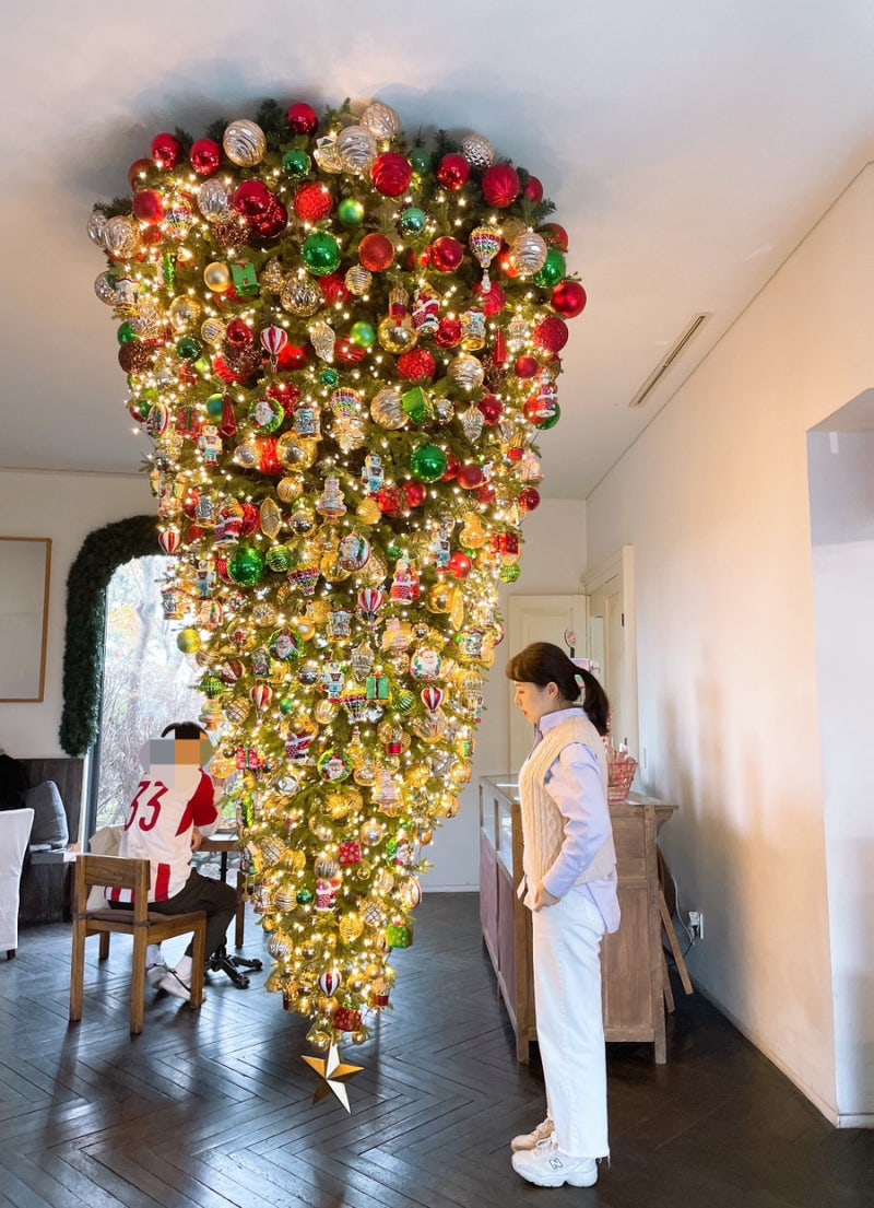 [제주 마마롱(MAMARRON)] 제주시 애월읍 평화로 2783_거꾸로 매달려 있는 트리 & 베이커리 맛집 🌲🎄💚🥐🤎 : 네이버 블로그
