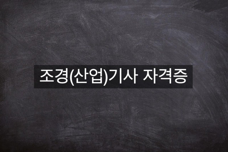 식물보호산림조경 자격증 시험응시자격 연봉 알아보기 기사산업기사기능사 나무의사 네이버 블로그