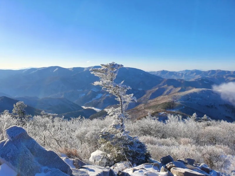 태백 일출 해돋이 명소 함백산 최단코스 운해와 상고대 눈꽃산행까지 이국적인 풍경 네이버 블로그