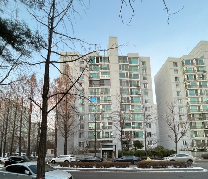 임장 재건축 올림픽선수기자촌 아파트 분석위치학군사업성 등 네이버 블로그