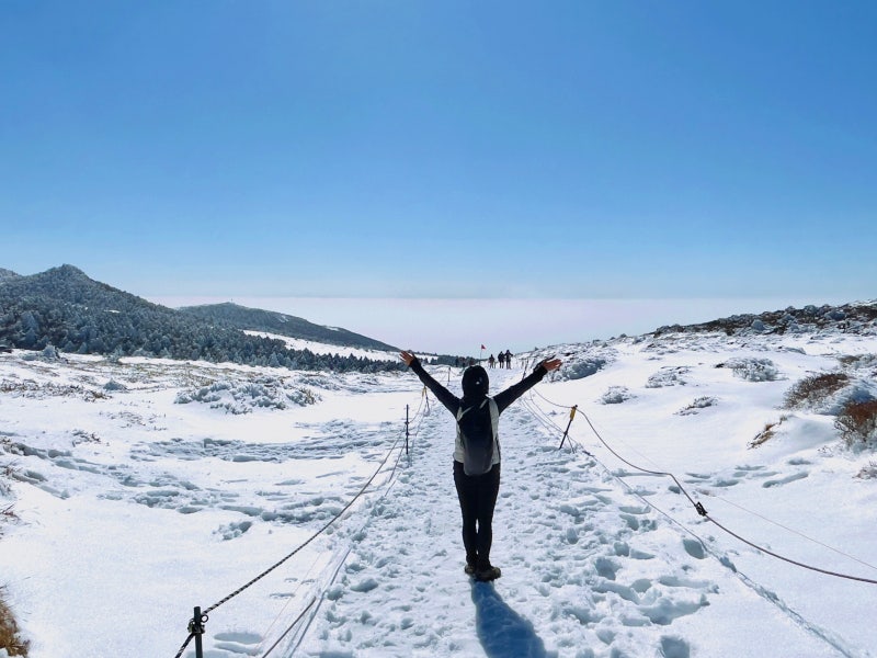 [겨울 가고싶은산]한라산 겨울 설산산행...눈꽃산행은 역시 한라산이 최고! 2탄 어리목~윗세오름~한라산남벽~영실 : 네이버 블로그