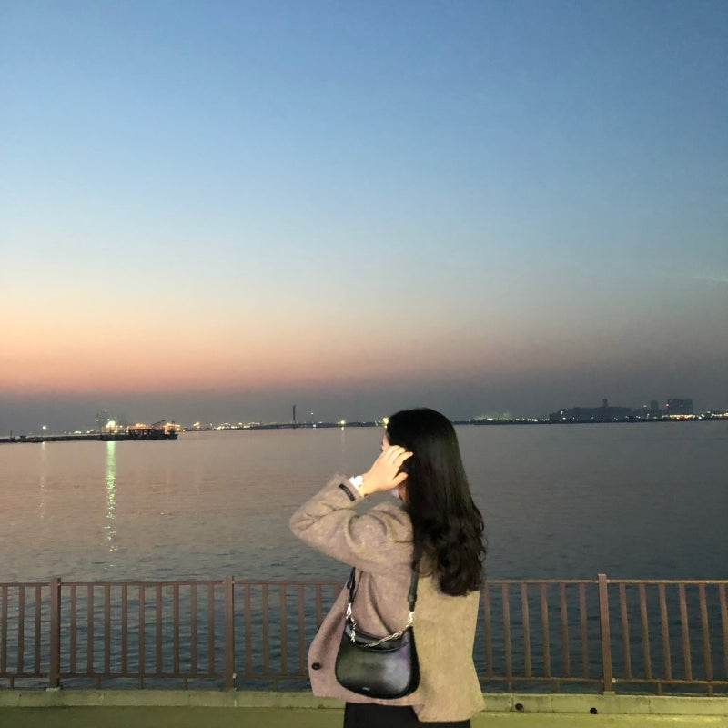 가방 추천 20대 여자가방 추천 찰스앤키스 숄더백 드메리엘 로지백 로서울 페블미니토트백 네이버 블로그