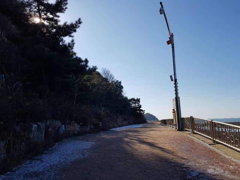 안산여행지 누에섬 한바퀴and누에섬등대전망대제부도 뷰탄도항누에섬 바닷길누에섬 바다갈라짐안산가볼만한곳