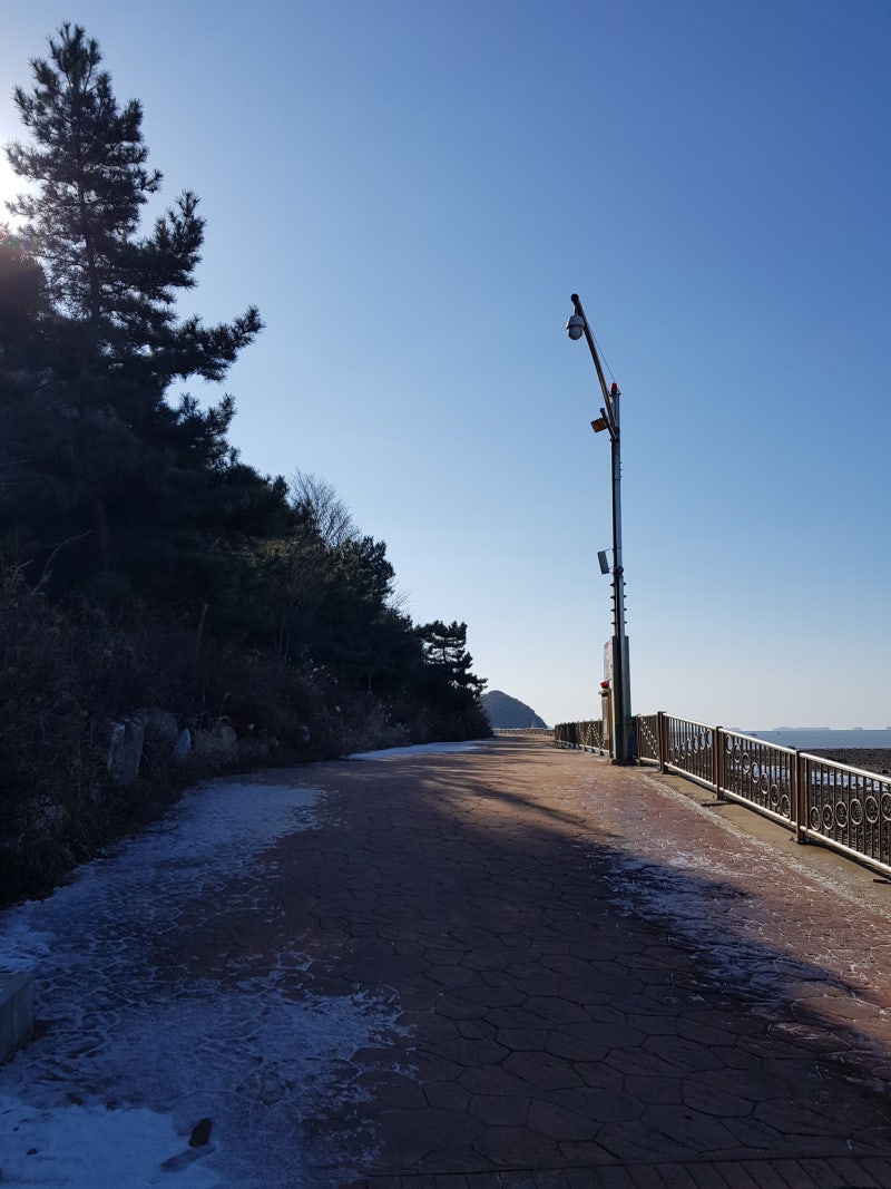 안산여행지 누에섬 한바퀴and누에섬등대전망대제부도 뷰탄도항누에섬 바닷길누에섬 바다갈라짐안산가볼만한곳