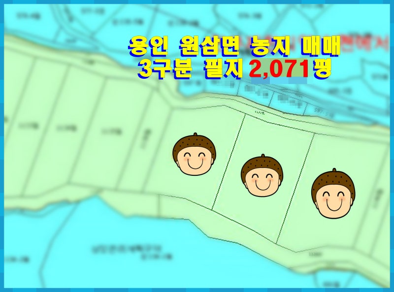 경기도 용인시 원삼면 농지 매매 죽능리 3개 필지 구분된 토지 2천평 네이버 블로그