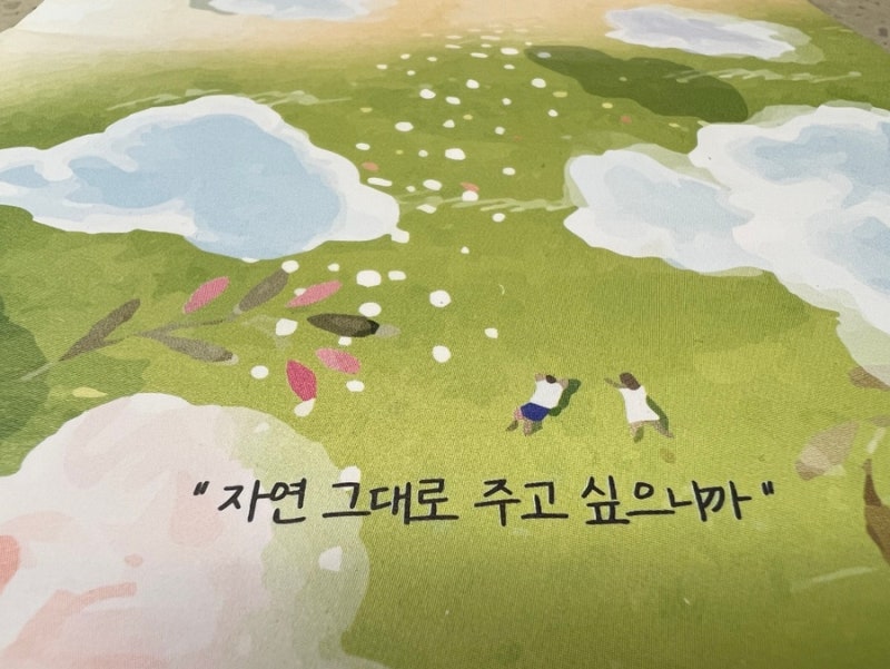 과일세정제 자연그램 칼슘파우더 🍓딸기씻는법🍓 네이버 블로그