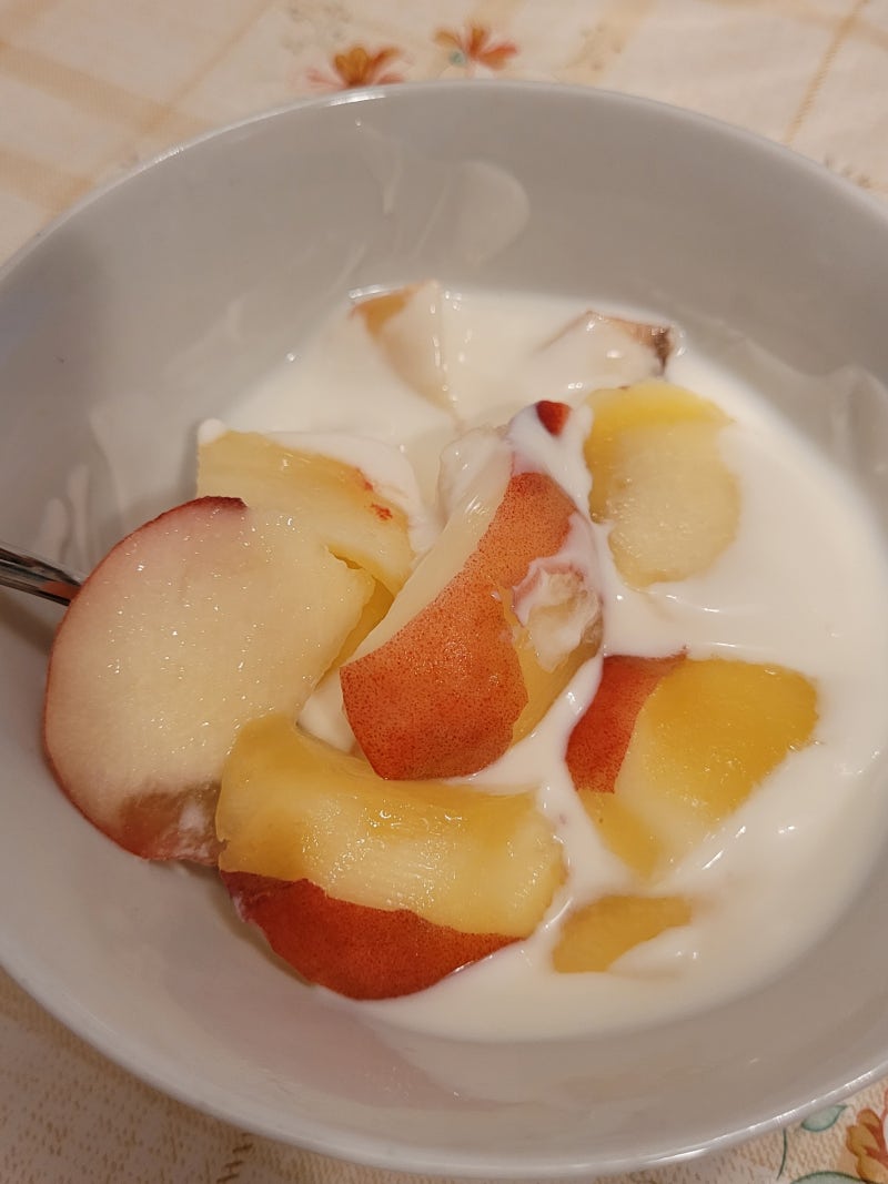 독일 베르히테스가덴 쾨니그제호수 주차장,유람선요금,추천코스 : 네이버 블로그