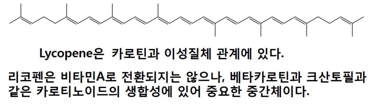 피토케미칼(파이토케미칼, phytochemicals) : 네이버 블로그