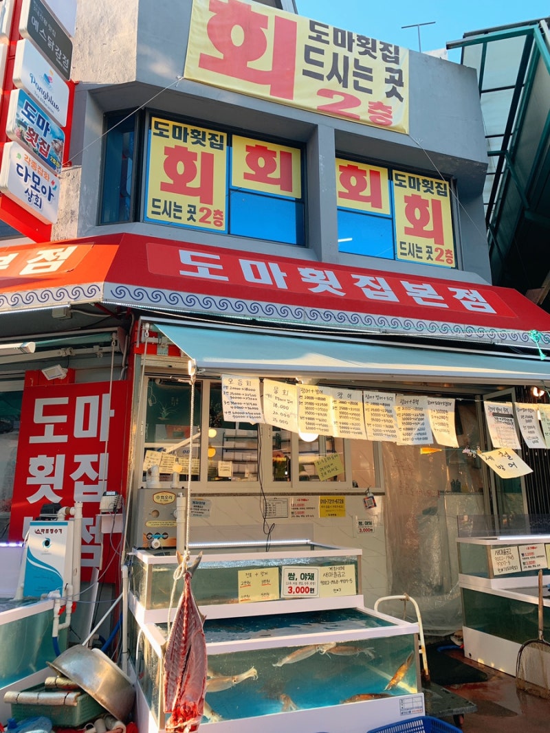 강릉 성남동 도마횟집 본점 강릉중앙시장회센터 모듬회 물회가 맛있는 강릉회포장 추천 네이버 블로그