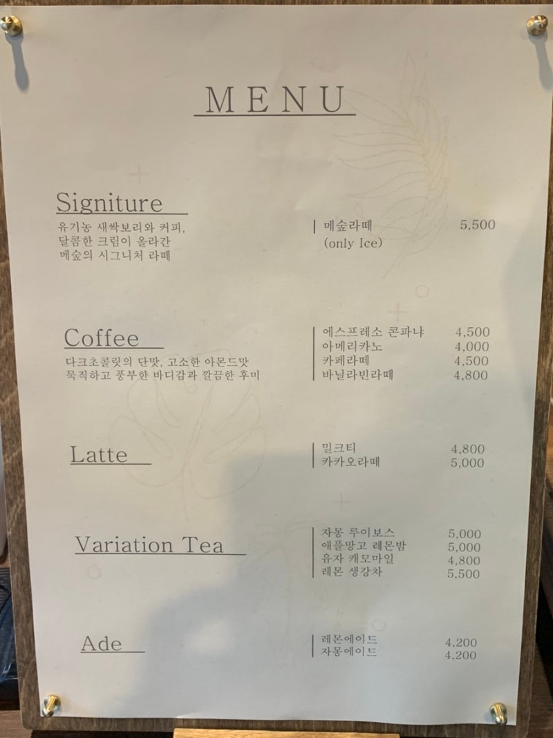 대구 용지역 근처 수성구 범물동 카페 특별한 이색 희귀 식물 화분 다양한 힐링되는 카페 메숲 네이버 블로그