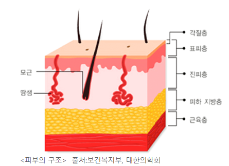 피부이식술이란?? 종류, 방법(FTSG, STSG) : 네이버 블로그