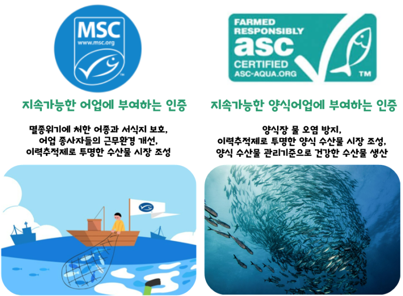 지구를 지키는 착한 소비! MSC·ASC 인증을 확인해주세요. : 네이버 블로그