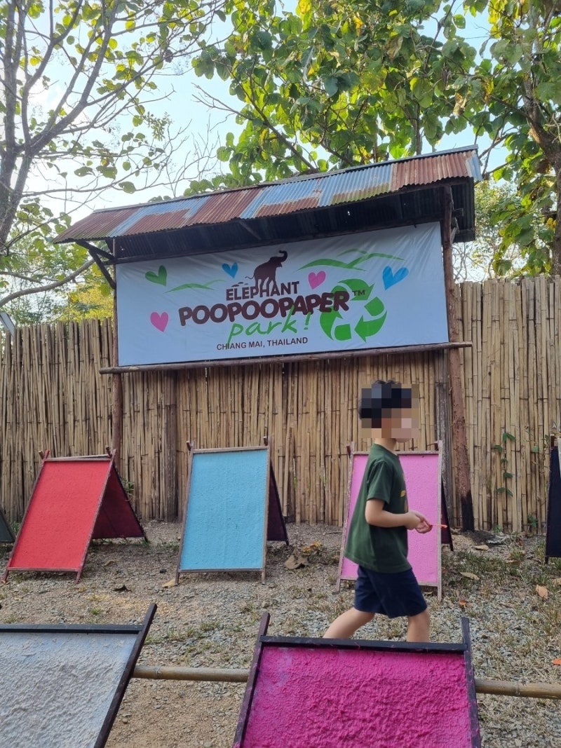아이와 함께 치앙마이 체험 : 엘리펀트 푸푸 페이퍼 파크 Elephant POOPOOPAPER Park : 네이버 블로그