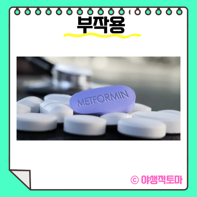 당뇨약 메트포르민 다이아벡스 글루코파지 글루파정 Feat 비구아나이드 네이버 블로그