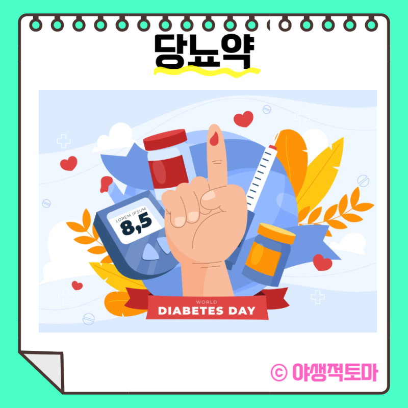 당뇨약 메트포르민 다이아벡스 글루코파지 글루파정 Feat 비구아나이드 네이버 블로그